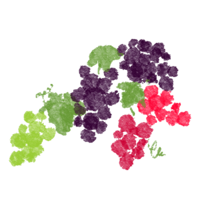 grape20190416_m | イラスト素材館